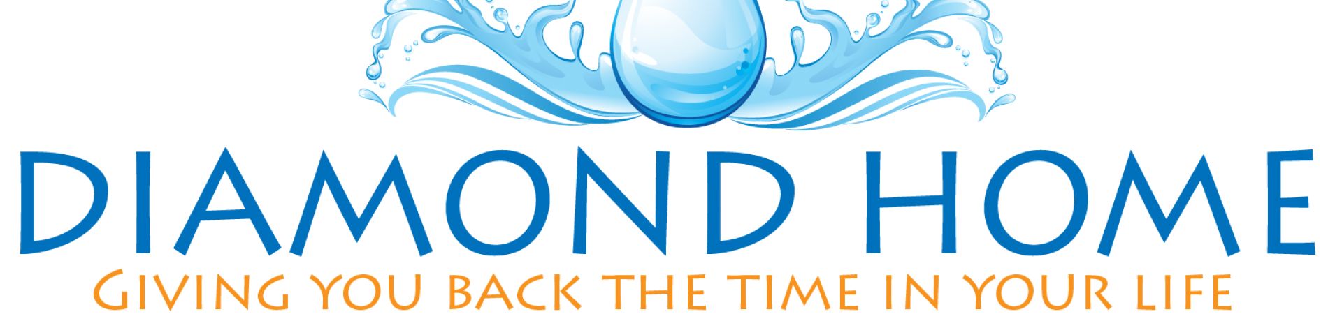 Start a Diamond Home Support Franchise - What Franchise